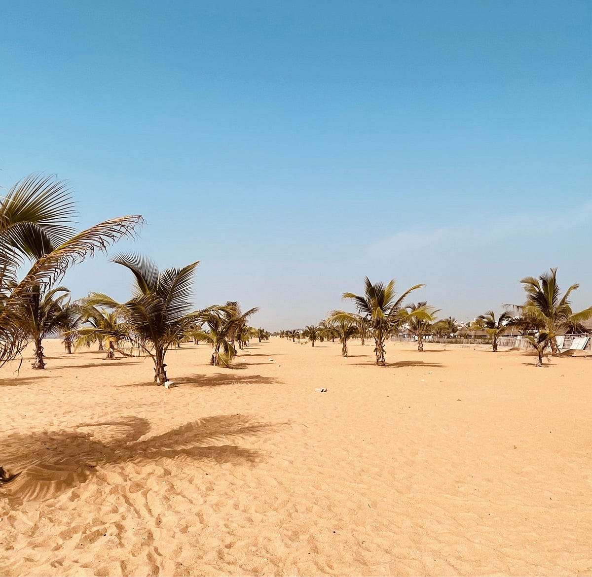 Caught Between Desire and Contentment | by Mariam Sule | May, 2025 | Medium