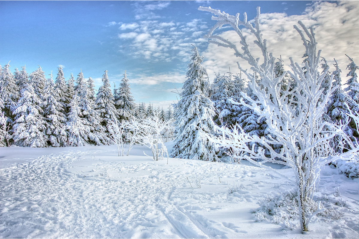 The Cold is Coming! — How to Prepare Yourself for Winter | by Samuel ...