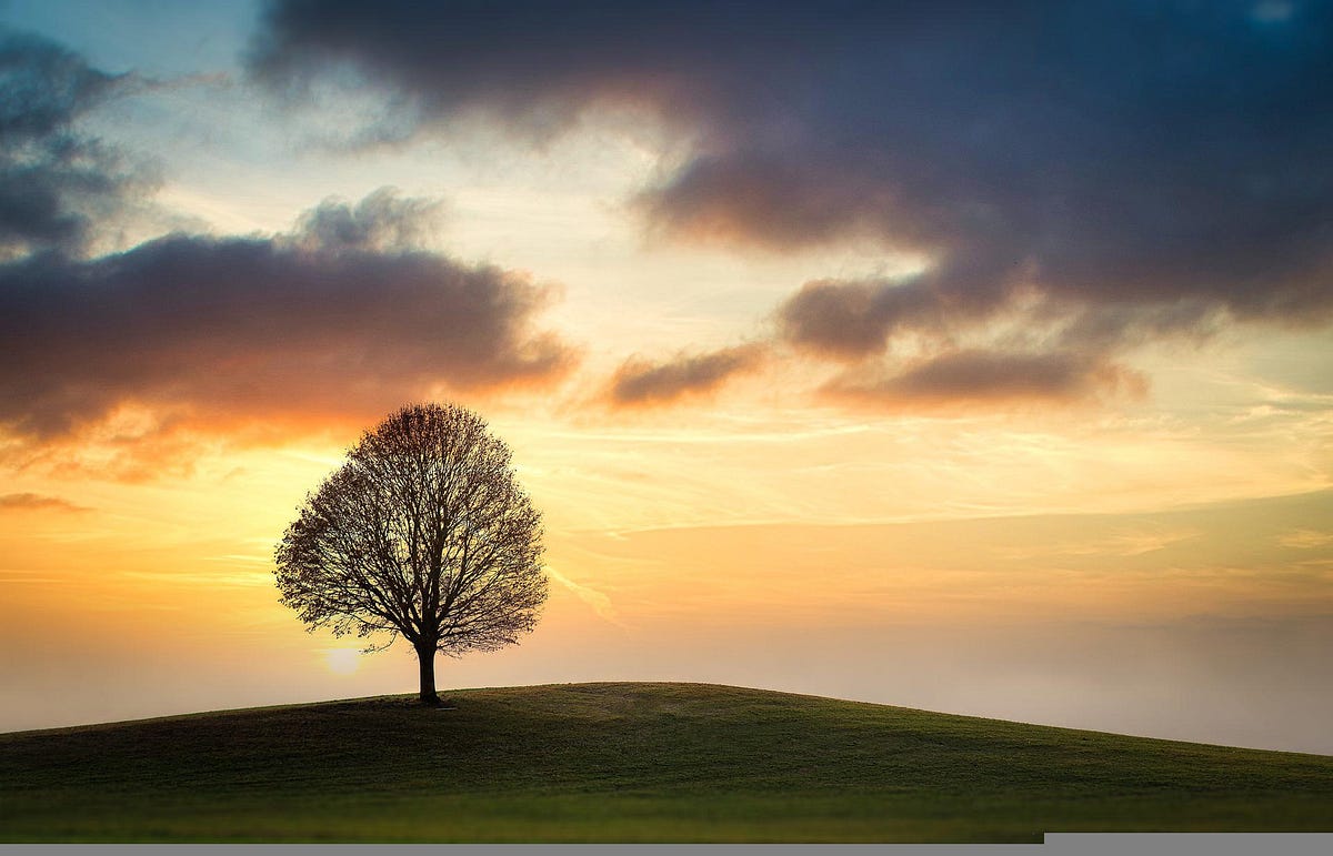 Going it alone…. We’re taught being alone equates with… | by Marco ...