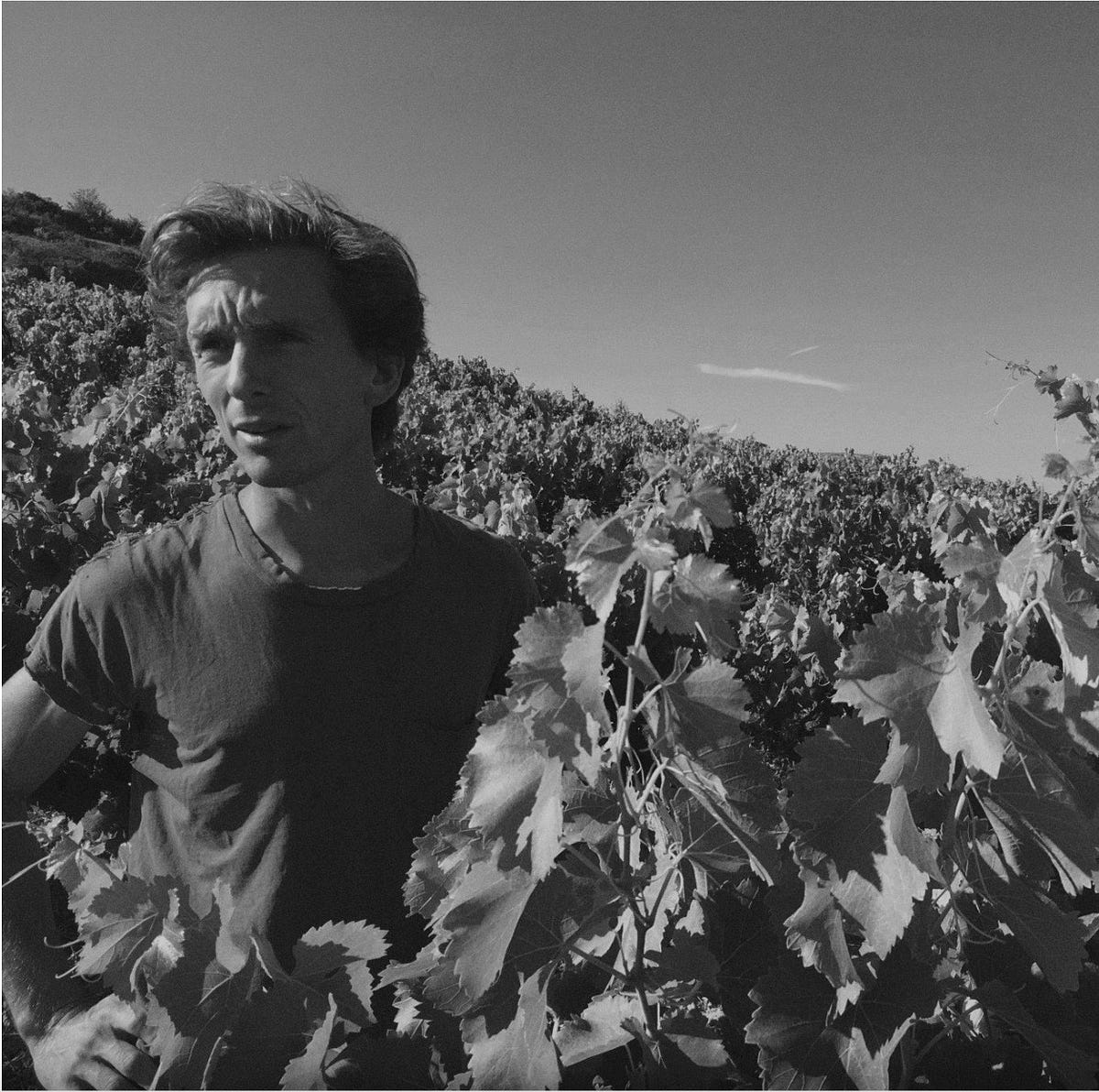 The intriguing wines of Anders Frederik Steen & Anne Bruun Blauert | by ...