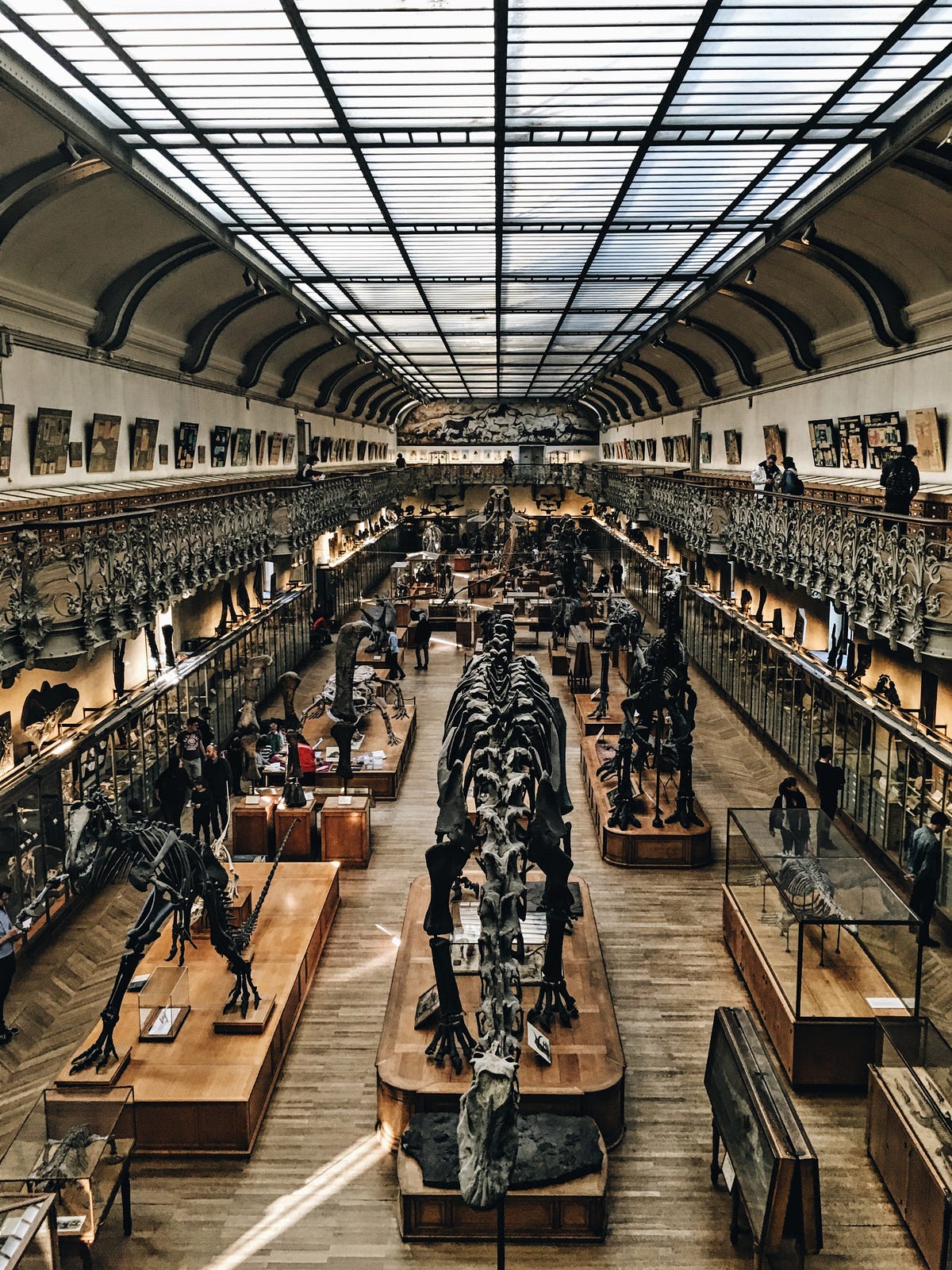 Museum Musings. A lot of people think that museums are… | by Em Kay ...