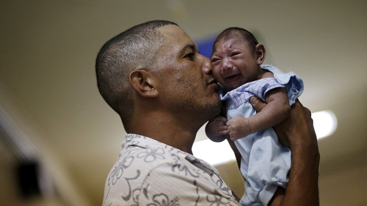 Zika Virus — Causes, Symptoms, and Prevention | by Kingsley Ibietela ...