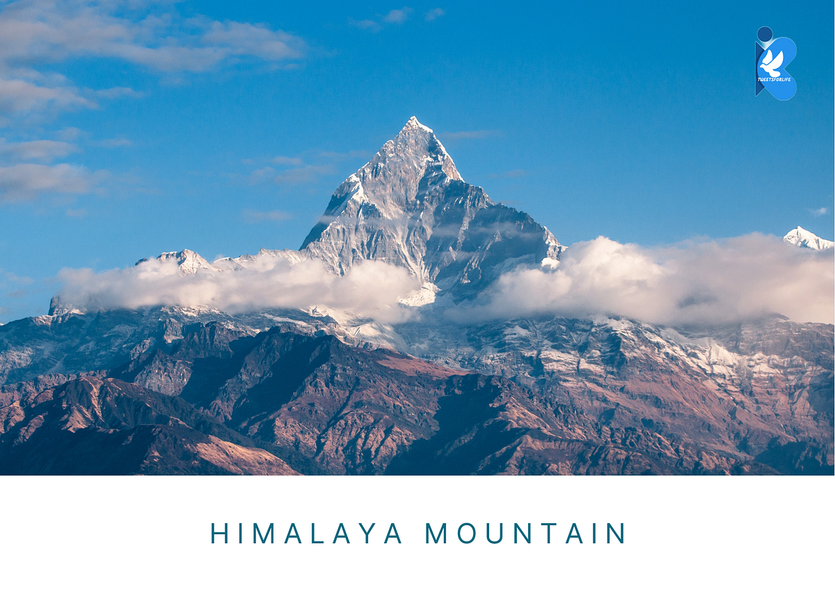 How the Himalayas & Shiva are Connected? | by 🔴 Tamal Roy 💚 Blazing ...