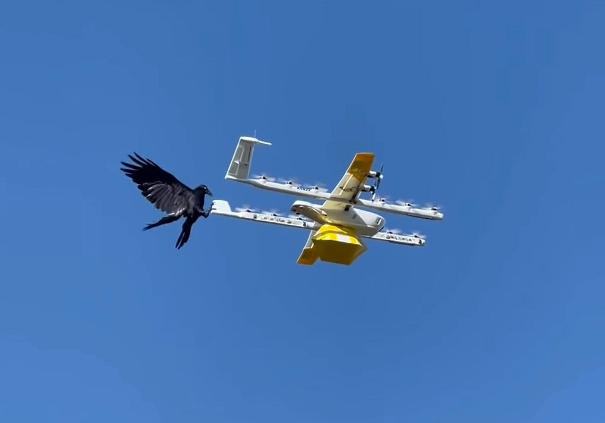 How to stop Ravens attacking delivery drones | by Ric Richardson | Medium