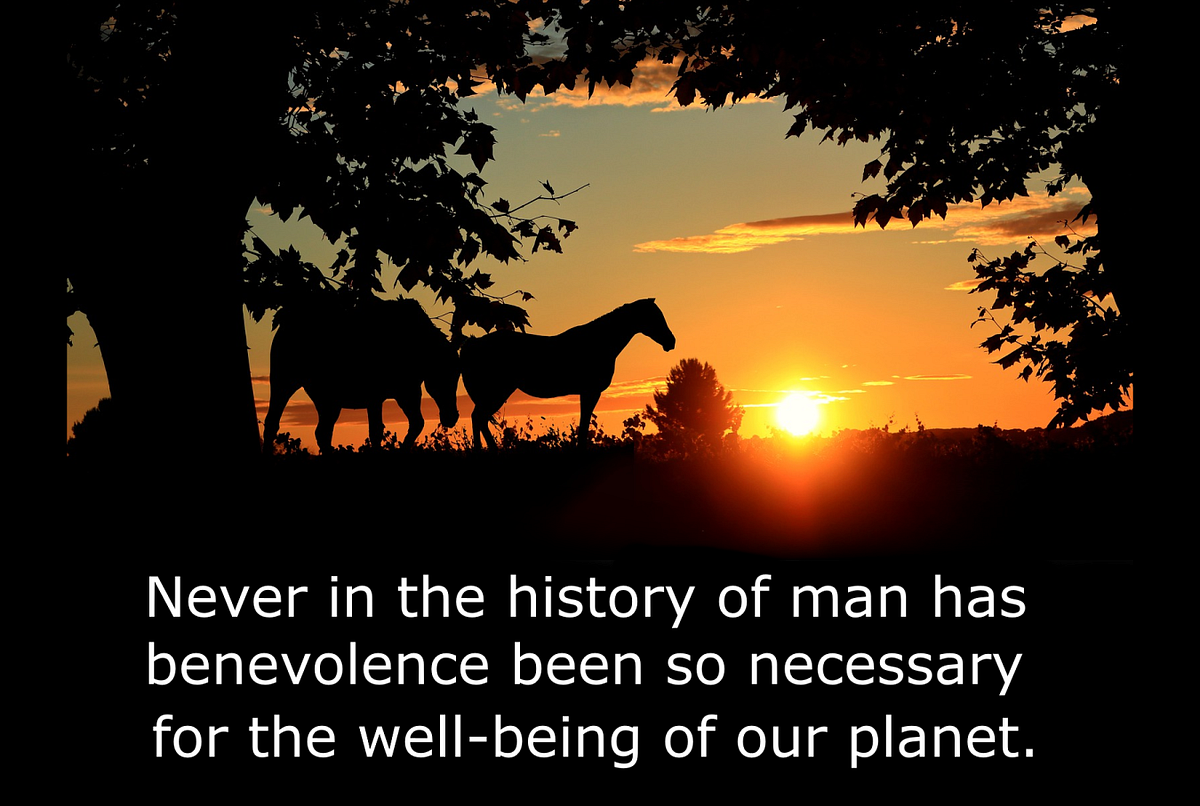 Why Benevolence is a Survival Mechanism for Humanity | by Tessa ...