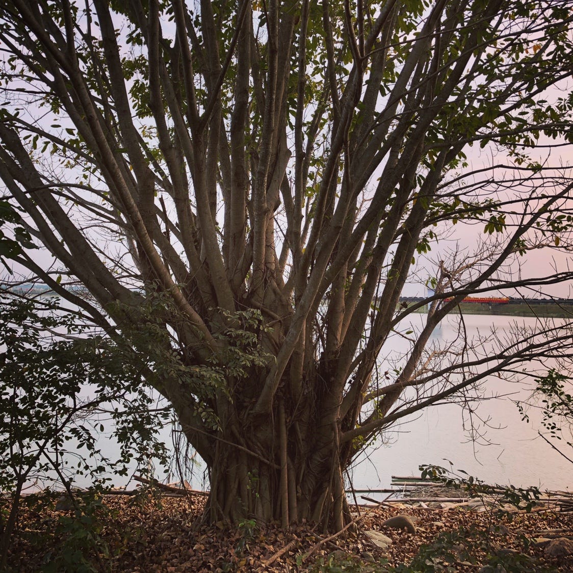 Someone said that writing makes the writer to have more clear thinking ...