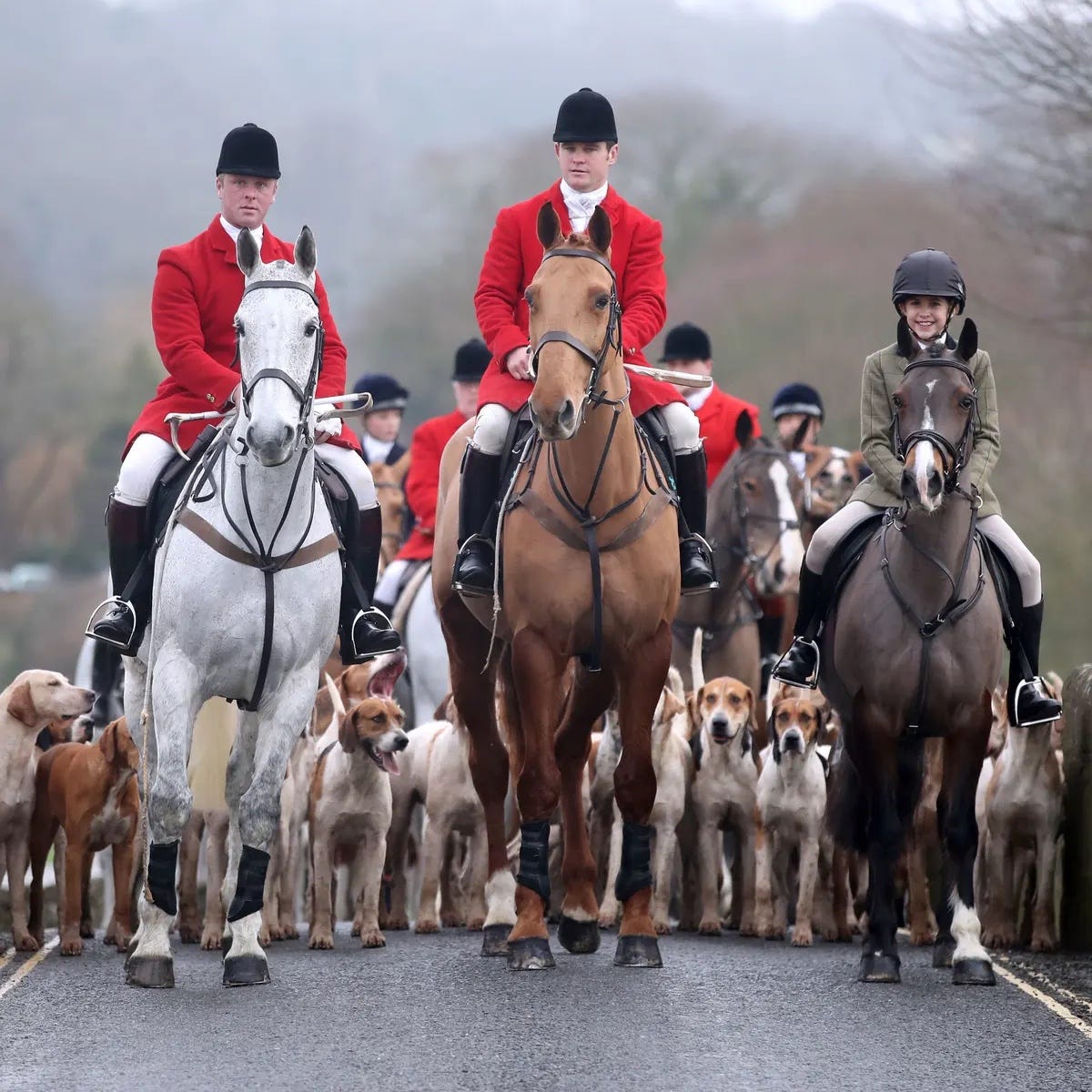 The Ban on Fox-Hunting, How Has This Changed Communities? | by Suzannah ...