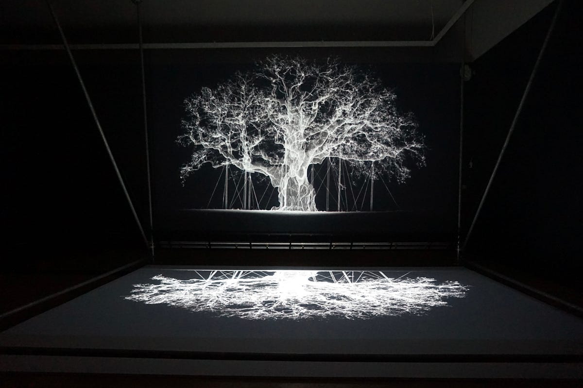 Mat Collishaw’s ‘Albion’. Trees in Art | by The Geography Reader | Medium