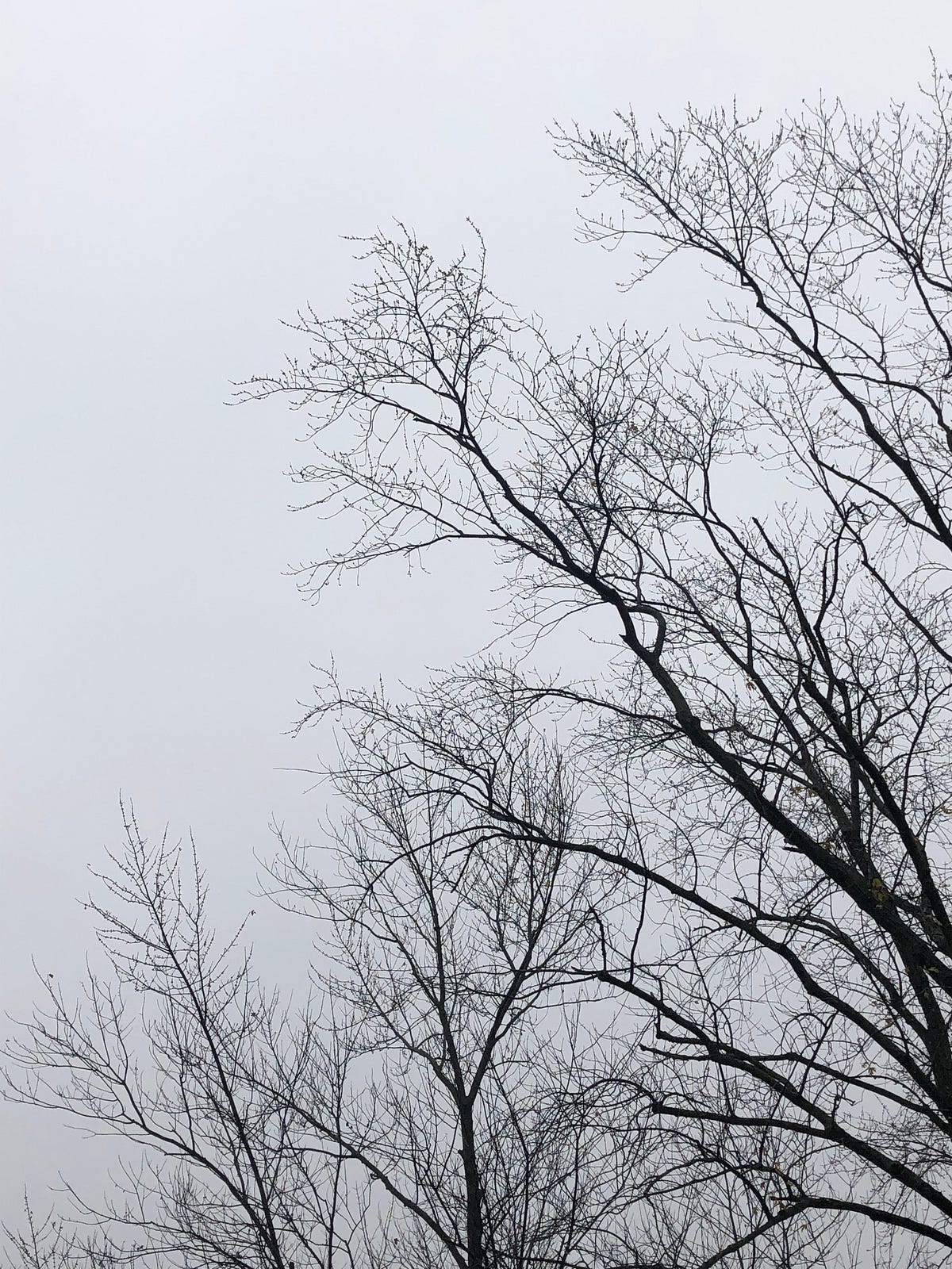 Wednesday Morning Haiku #1 - Whispered Words - Medium