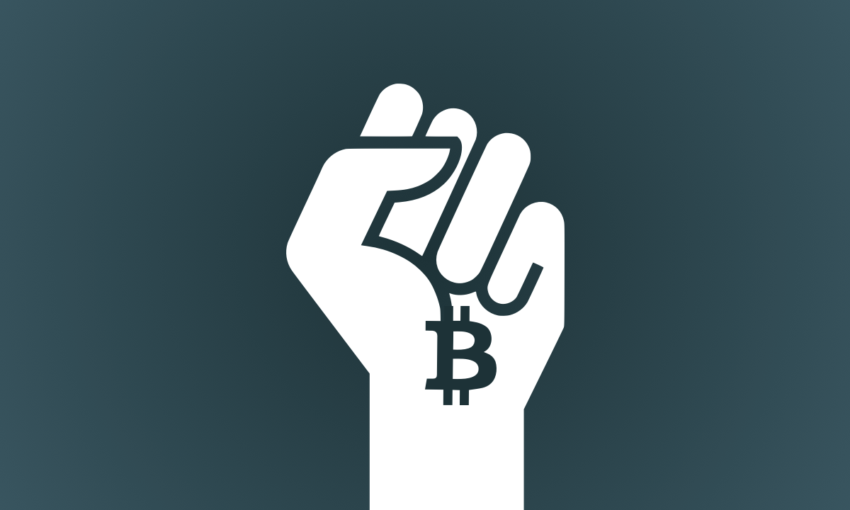 Bitcoin Maximalism. The ultimate bitcoin argument | by Claire Belmont ...
