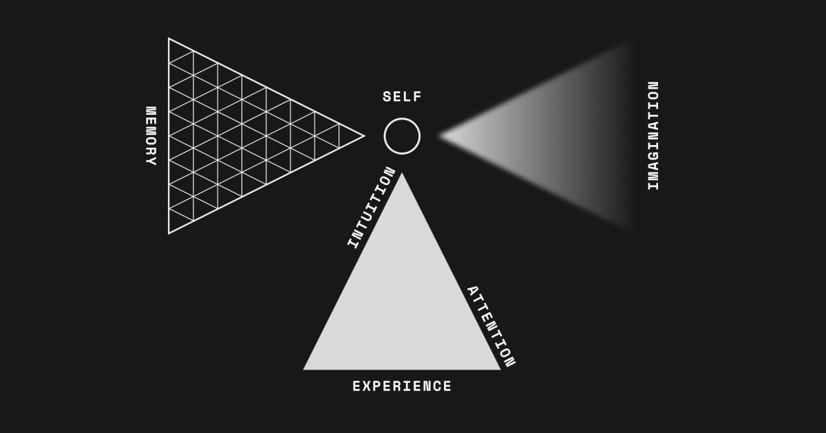 How your brain constructs experience — 2. Elements of experience | by ...