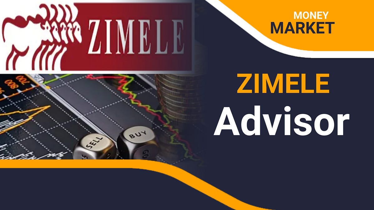 Zimele Advisor: Empowering Your Financial Future | by CleantonePaul the ...