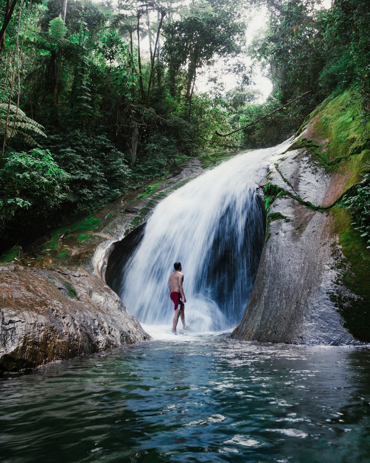Nature Sings Her Healing Melodies | by Queenie Davies | Oct, 2024 | Medium