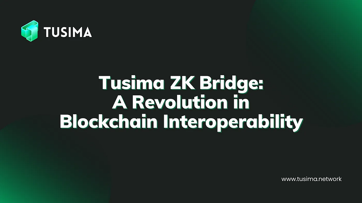 How To Send Message Using Tusima Zk Bridge Rosew Medium