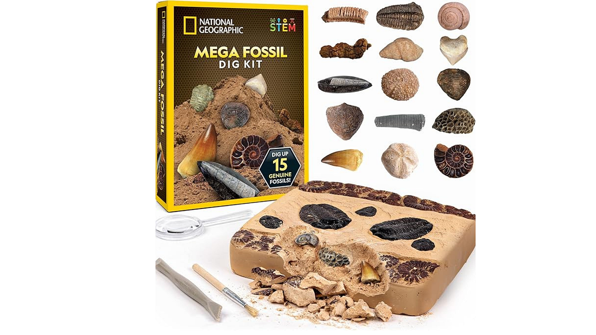 Discover the National Geographic Mega Fossil Dig Kit: An Exciting ...