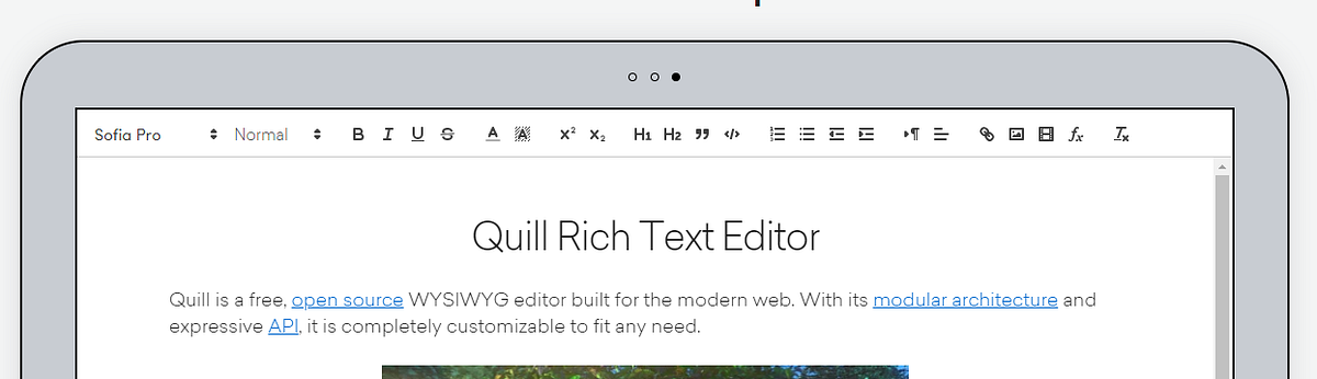 Table of Content for Quill JS Rich Text Editor | by Mahdi | Medium