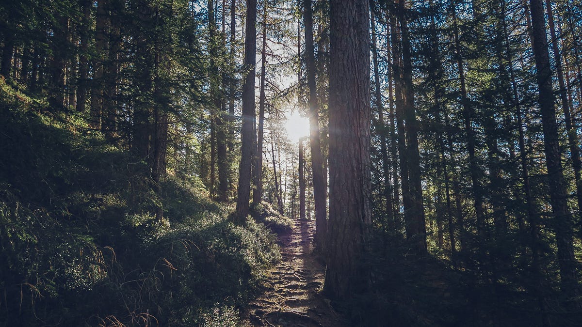 “Living the ‘Boring Life’ that leads to Abundance.” | by Shirisha Dara | Medium
