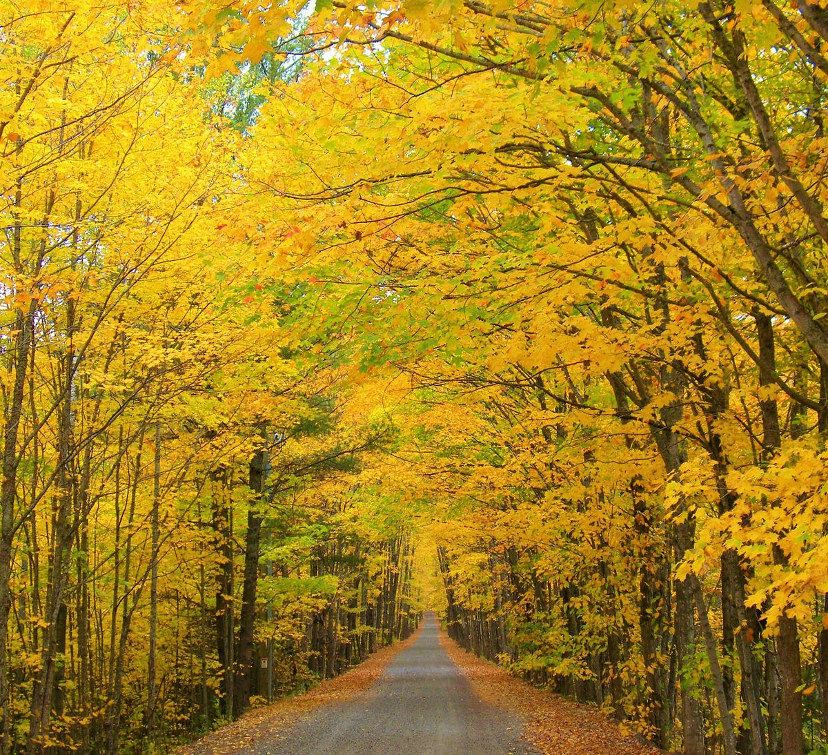 Soul Season. A Pantoum Poem | by JoEllen Claypool | Admiring ...