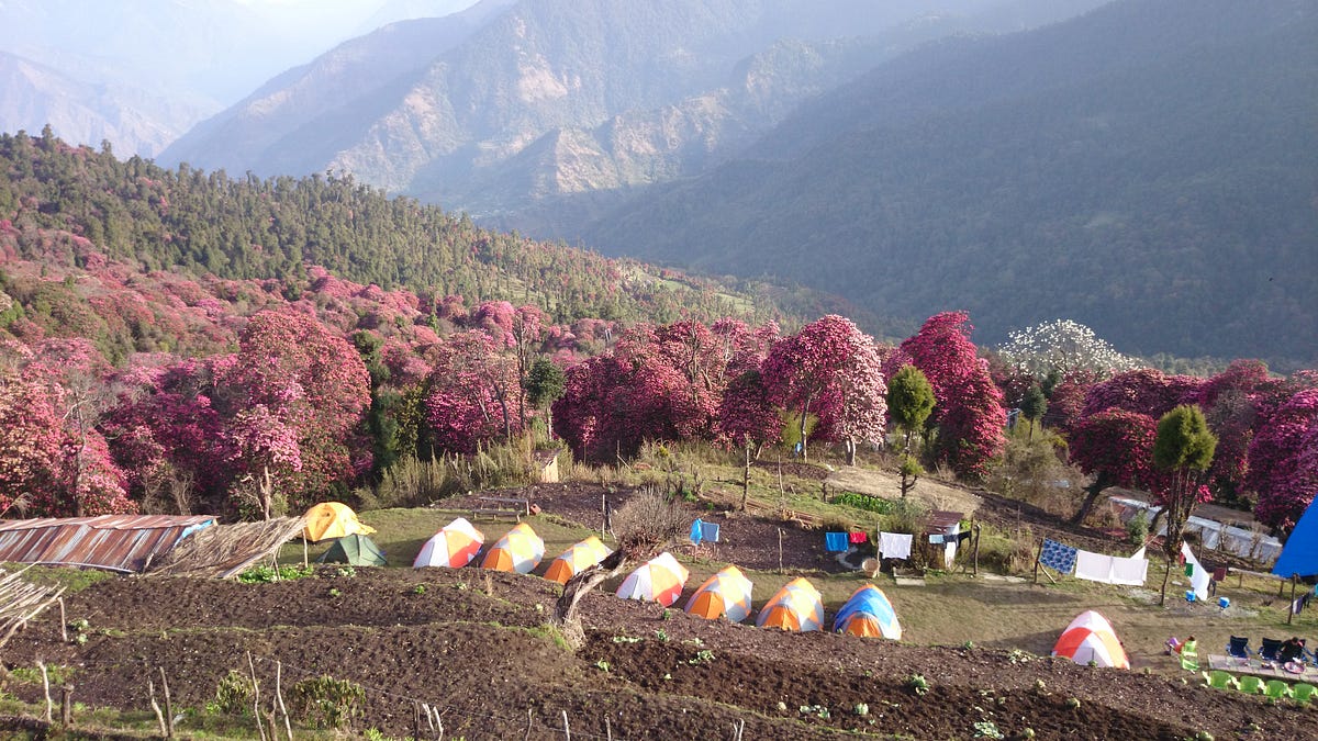 What are the best trekking routes in Nepal for beginner travelers? | by ...