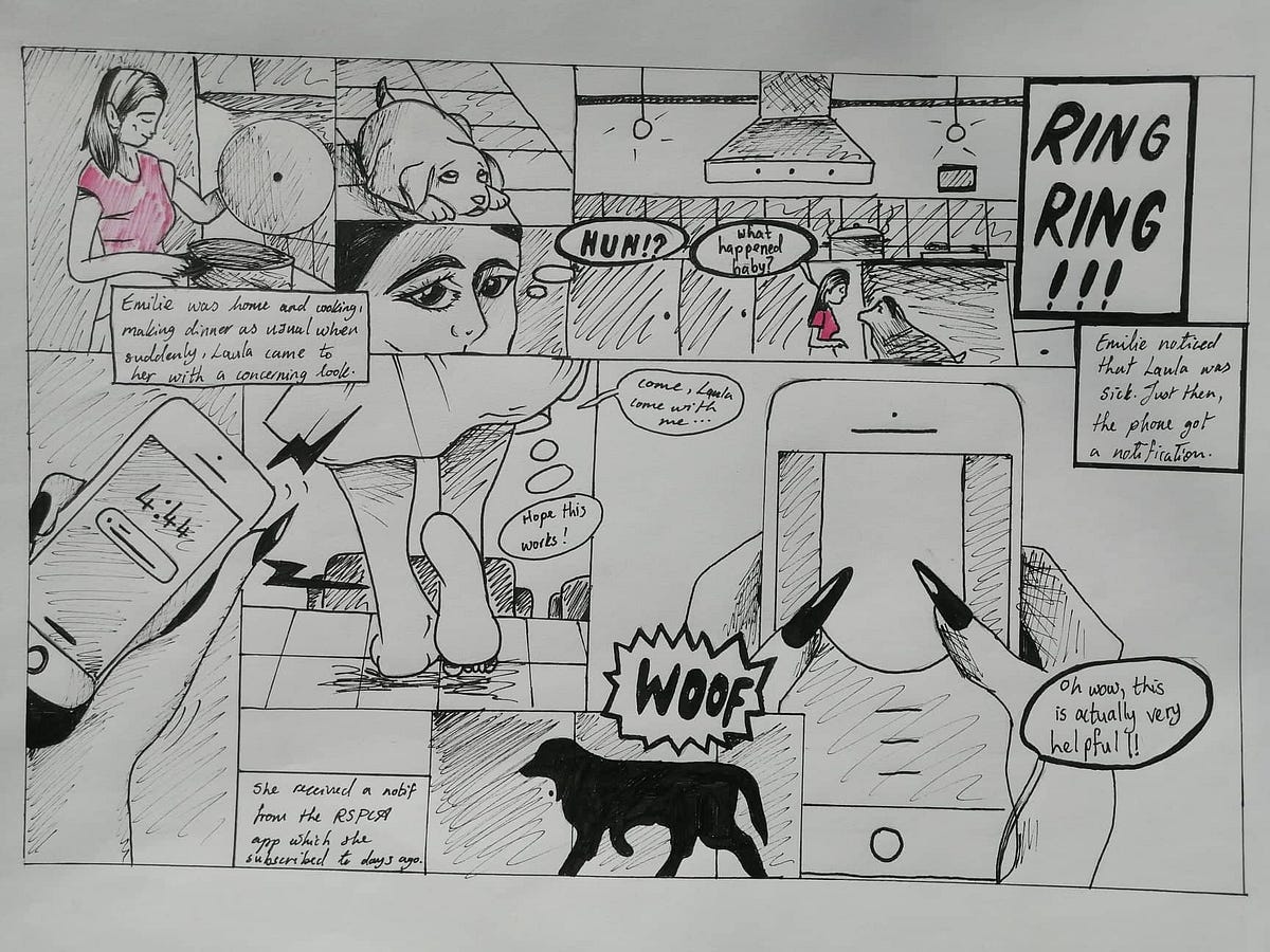 RSPCA Pet Care Mobile App Part 2. For the second part of the UX Design ...