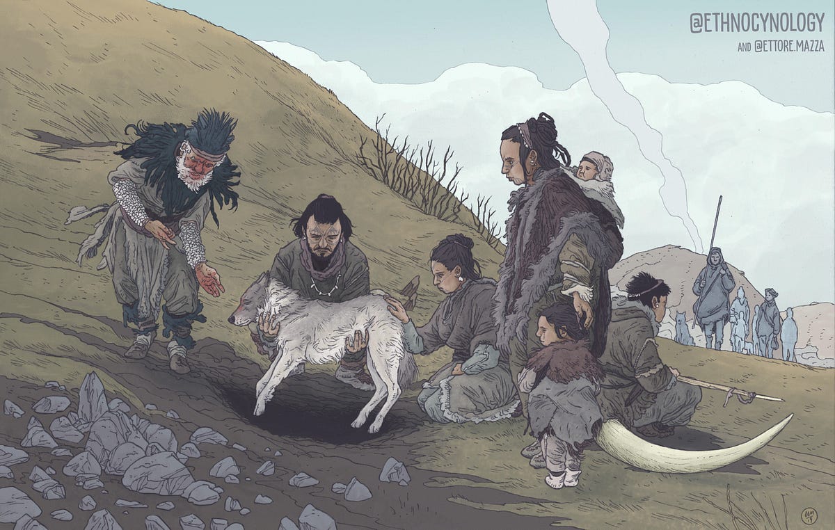 How Losing a Dog Makes You More Human | by David Ian Howe | Medium