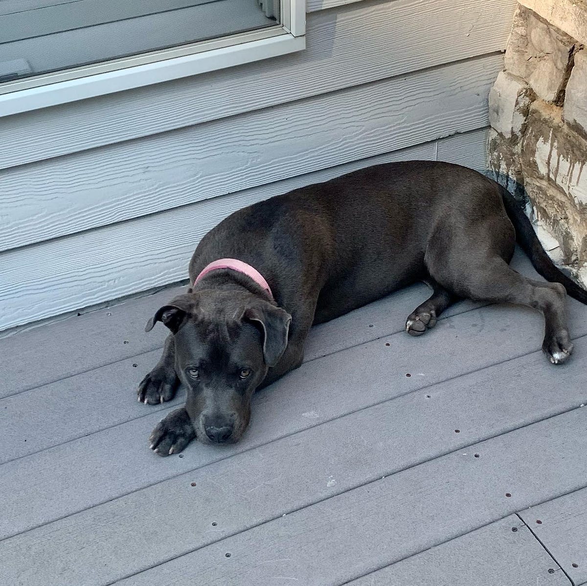 A Short Form About Short Form. Recently, I have been dabbling in… | by ...