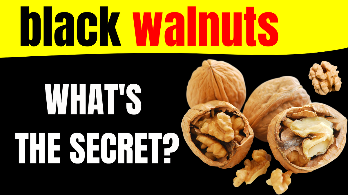 Discovering the Extraordinary Health Benefits of Black Walnuts | by ...