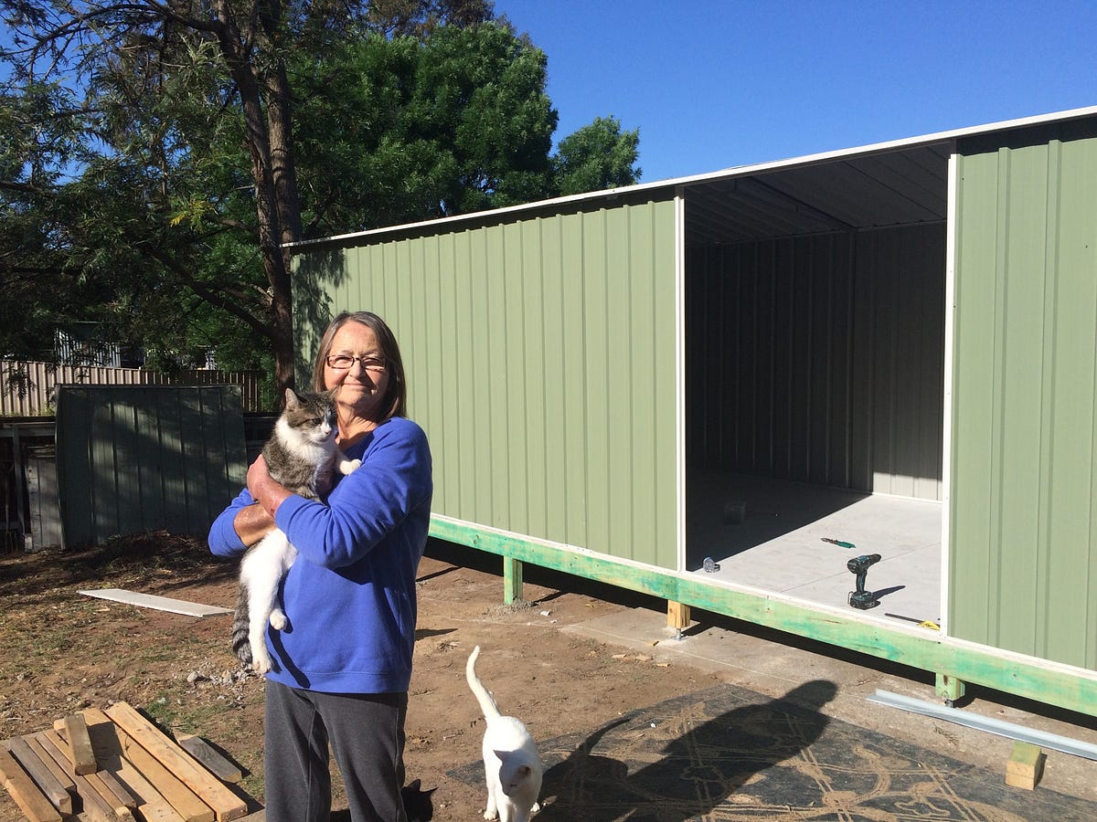 Eva to the rescue. Fifty cats. One location. For some it’s… | by ...