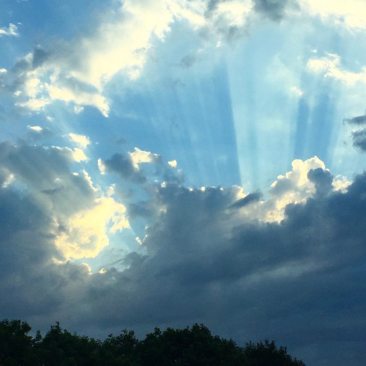 Step back, see more. I have always loved to read. When I was… | by ...