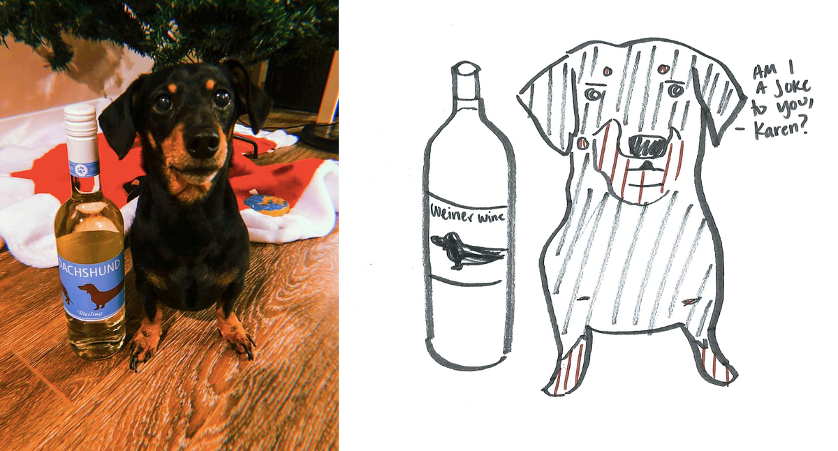 These Drawings of People’s Pets by a Humane Society Will Make You Smile ...
