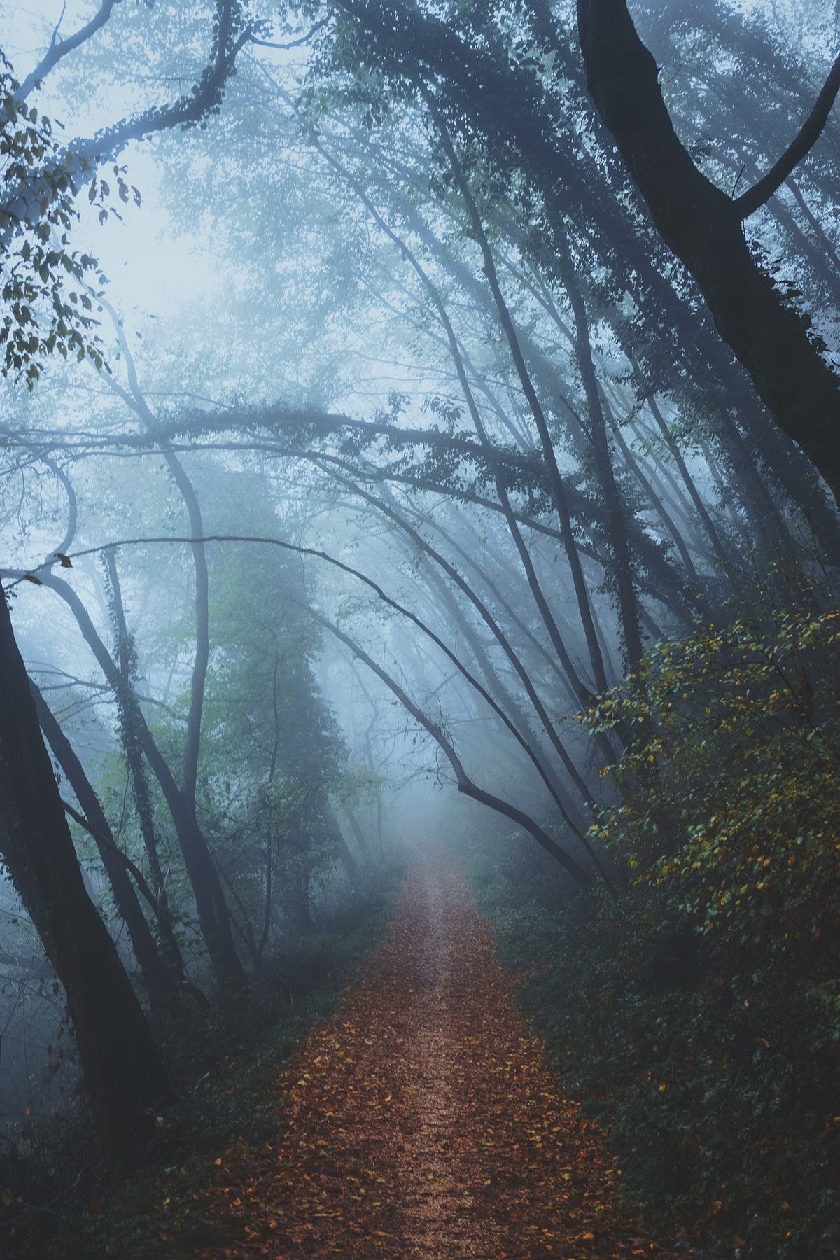Godfather Death. A short story based on the Grimm… | by Sav Miller | Medium