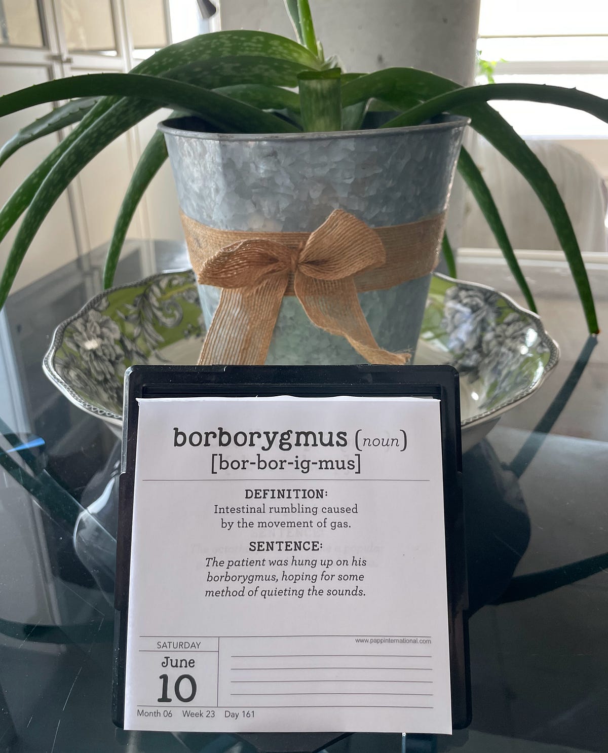 Do You Have Borborygmus?. I’m a nurse, yet I’ve never heard of… | by ...