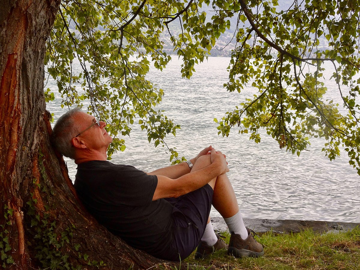 Tree Consciousness - Woodworkers of the World Unite!!! - Medium