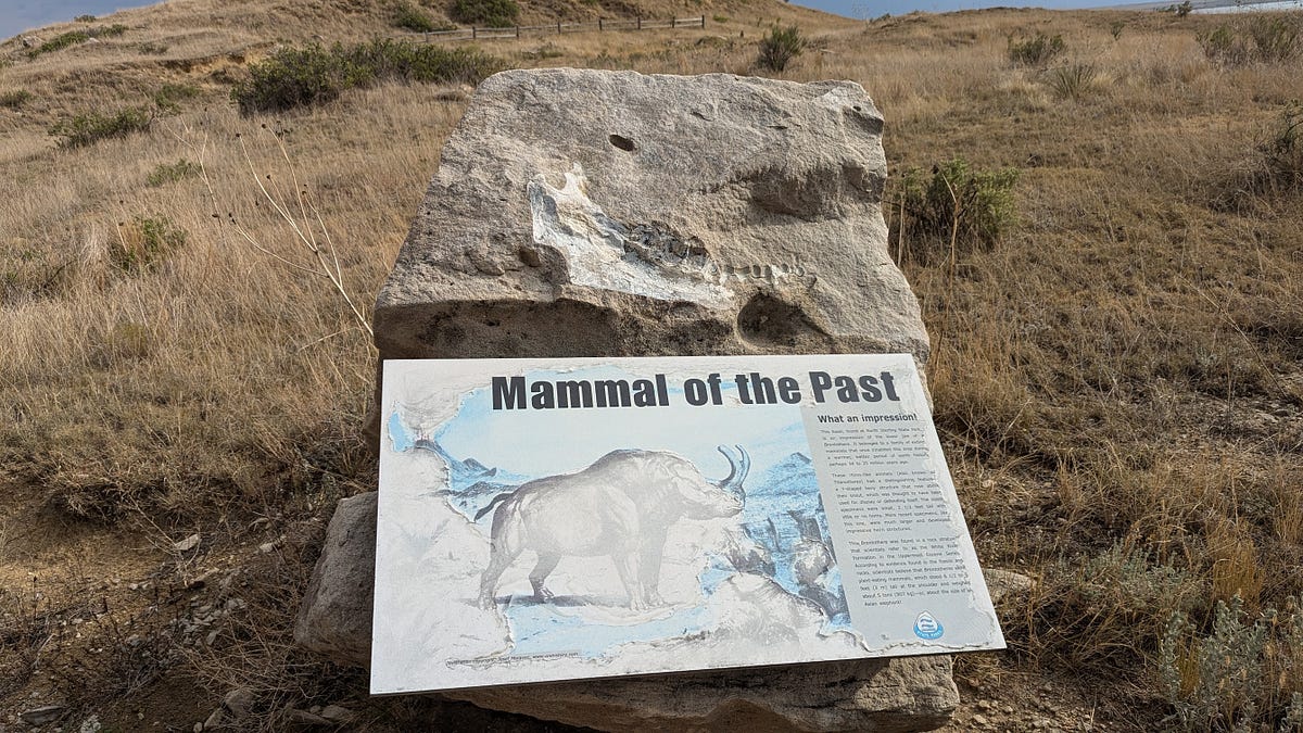 Oh Brontothere, Why Have You Gone Away? | by Paul Vero | Fossils et al ...