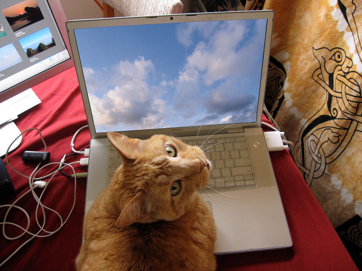 วิธีการสร้าง Graphic User Interface (GUI) เบื้องต้นด้วย Python และ Tkinter | by Anawin P | Medium