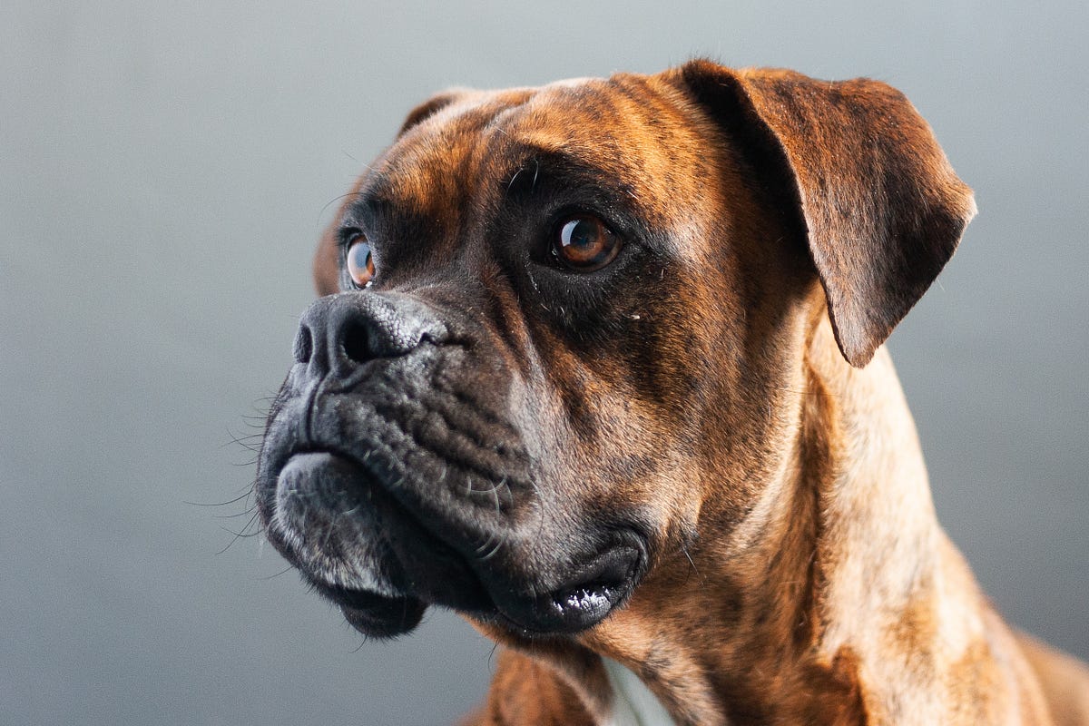 0004 — Baxter. Esta es la sesión de practica 4, con la… | by David Rivera | Medium