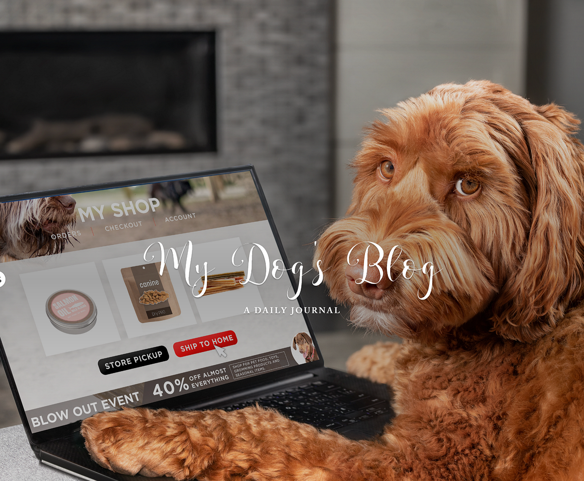My Dog’s Blog: A Furry Coding Project | by Ryan Montgomery | Medium