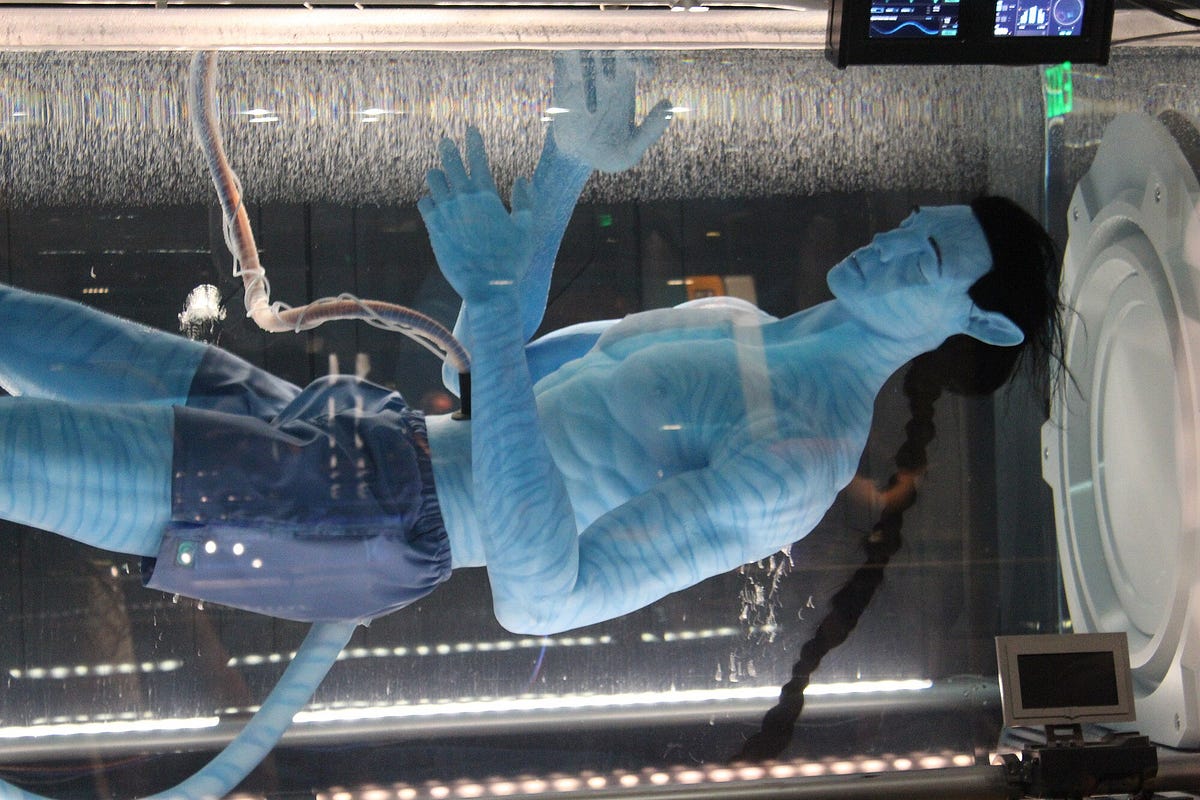 Were humans a fluke or inevitable? | ILLUMINATION