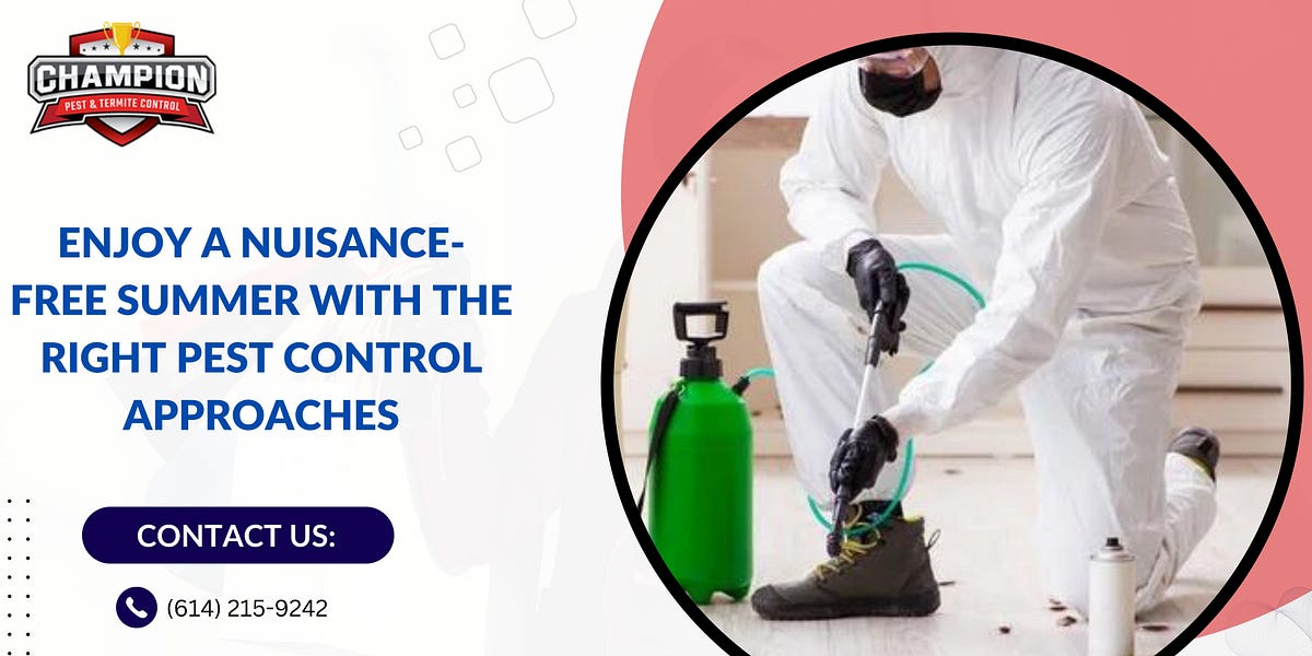 Enjoy a Nuisance-Free Summer with the Right Pest Control Approaches ...