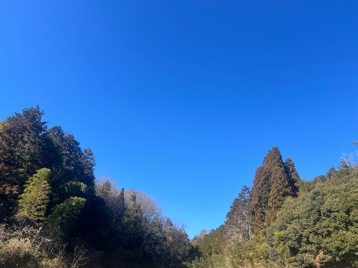 52 Weeks on a Farm: Week 2 2025. The cold weather continues and the… | by SJ Spencer | Medium