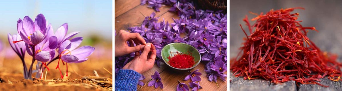 Saffron for Better Sleep: What You Need to Know | by Saffronice | Sep ...