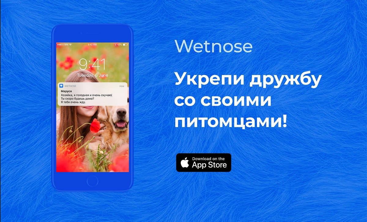 Wetnose. Wetnose | by Елизавета | Medium