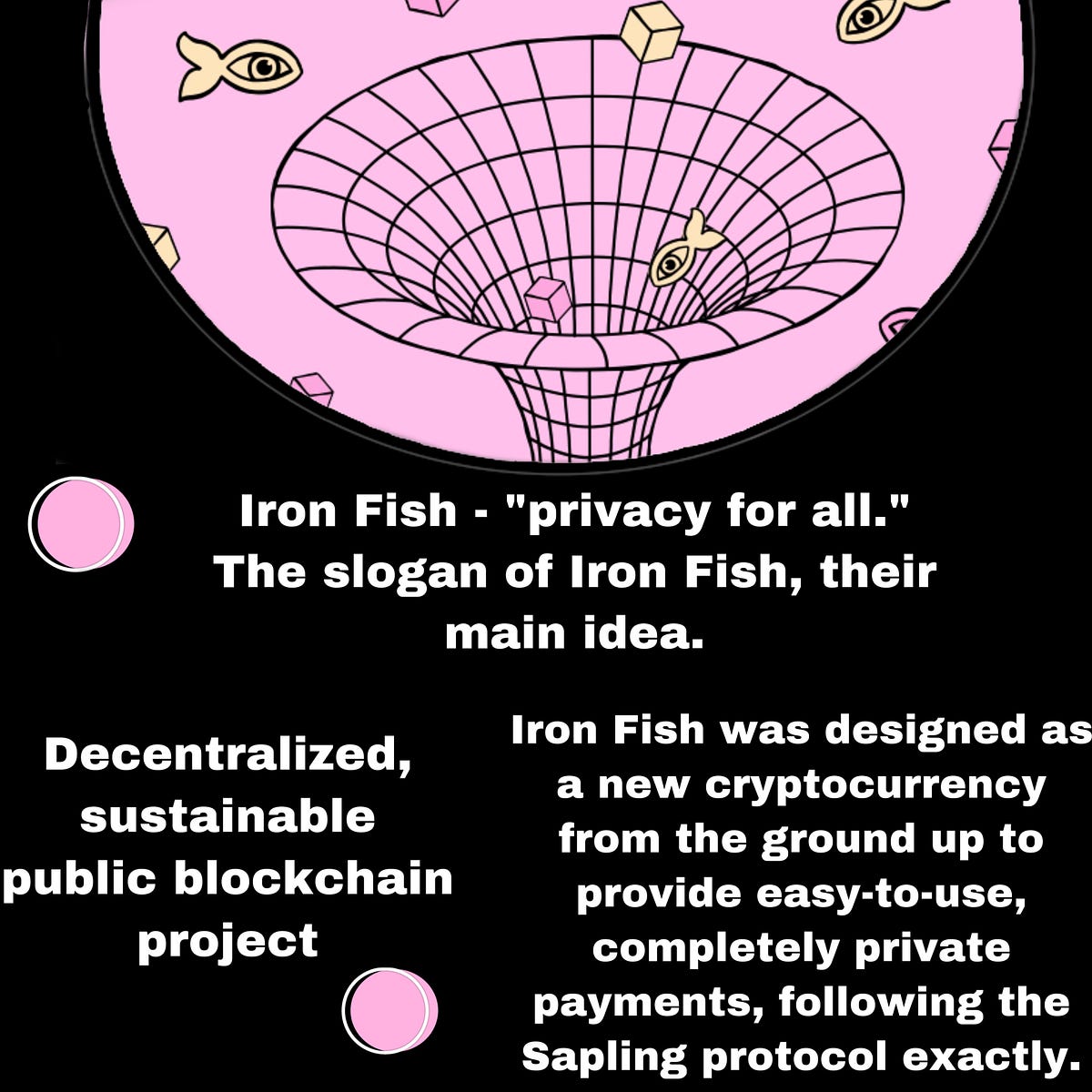 Iron Fish About the project I decided to talk about the project in the ...