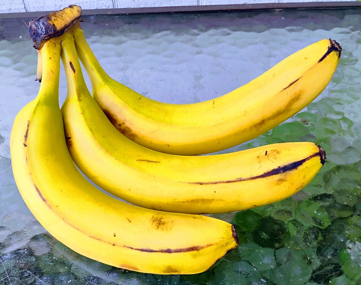 Going bananas over bananas | by Lucy Santos | Jun, 2025 | Medium