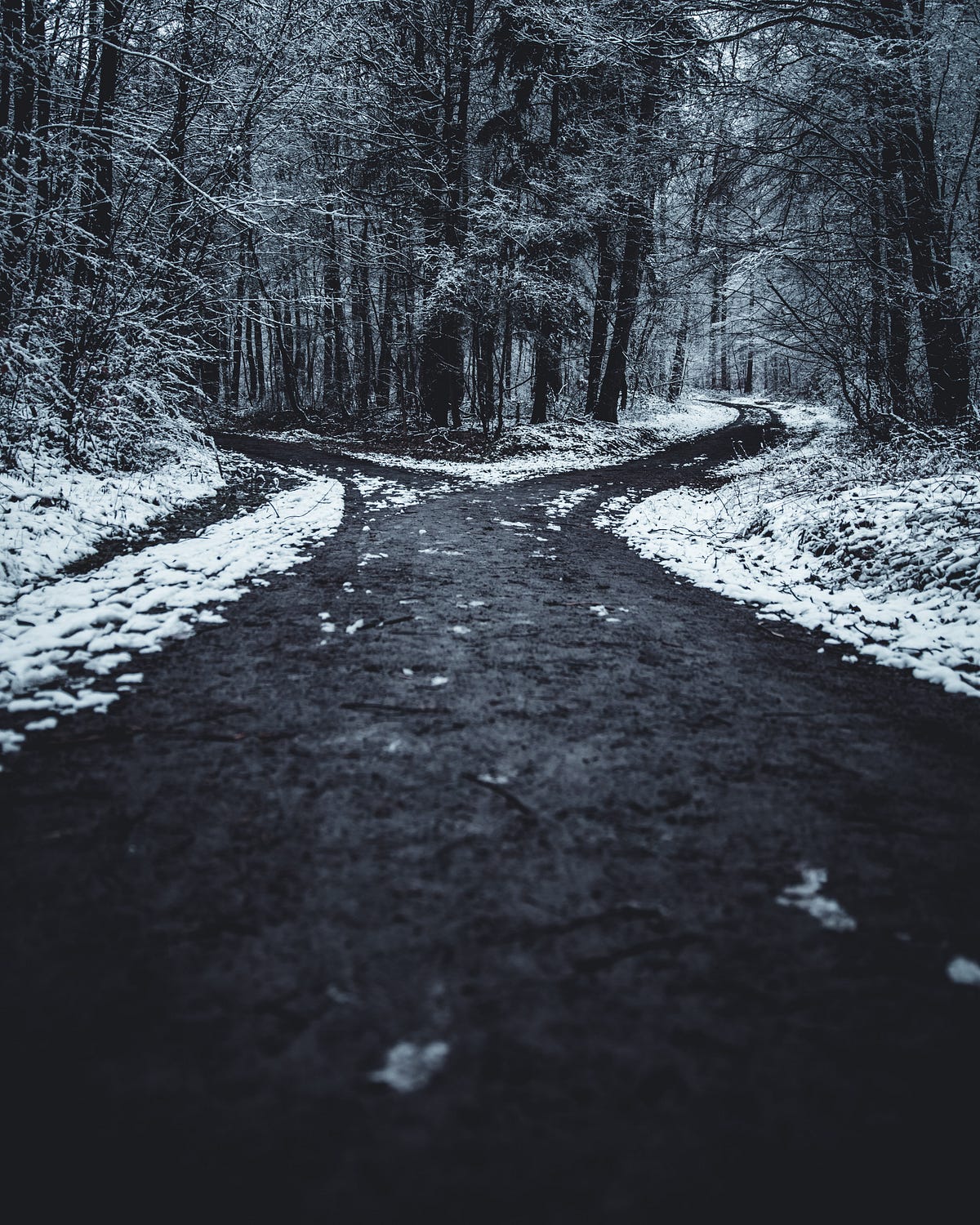 Resistance Poetry 2020.01. Right | by Meg | Resistance Poetry | Medium