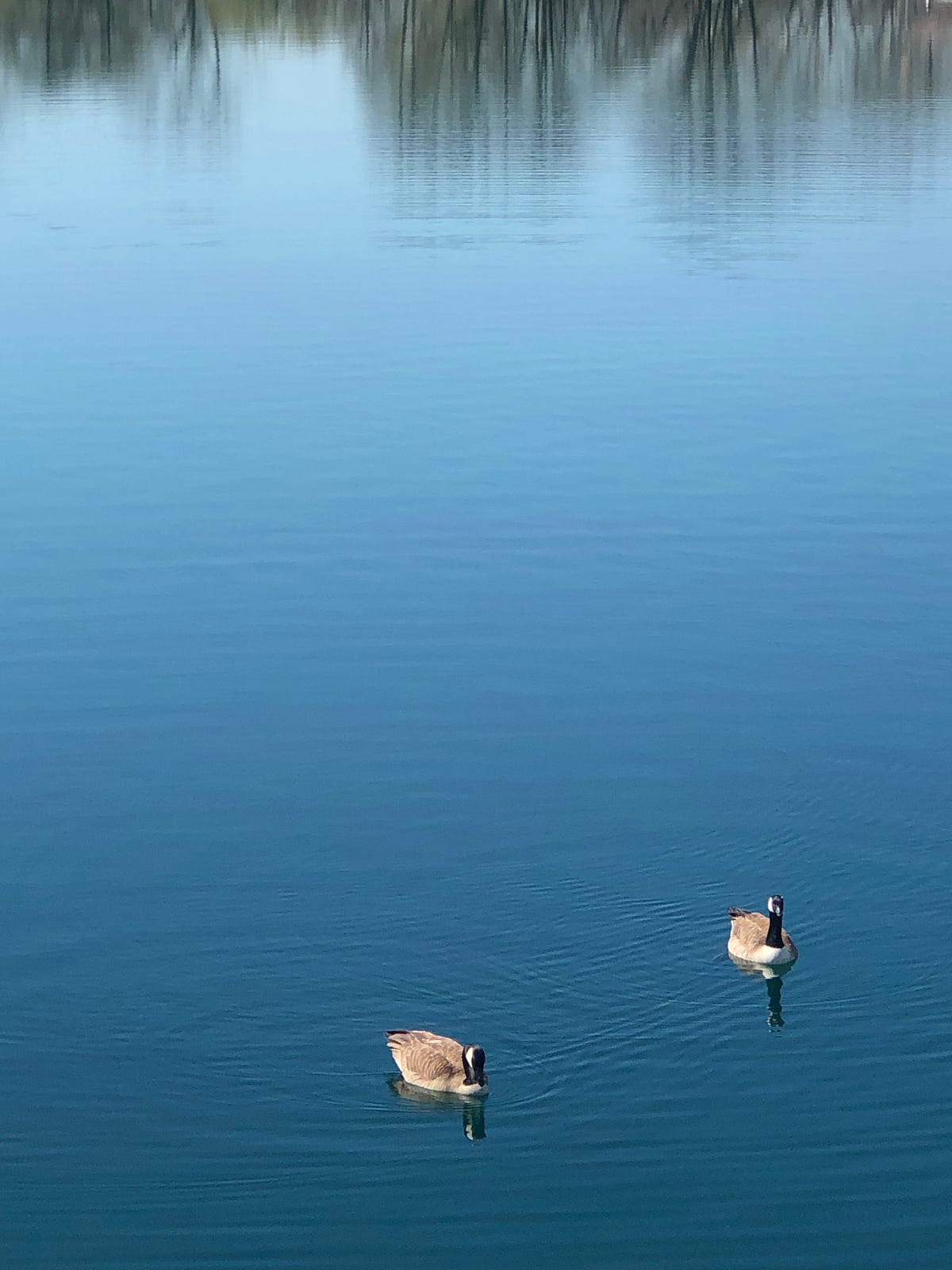 This Functional Location Is Surprisingly Beautiful | by Laura Lind ...