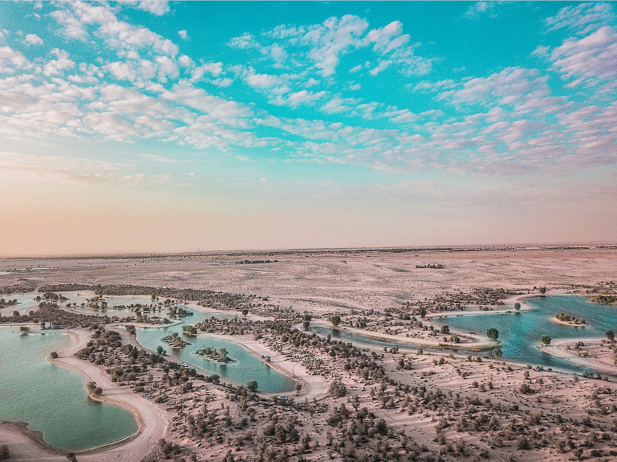 Bringing Back Paradise. Johads as a Solution | by Val Sheridan | The ...