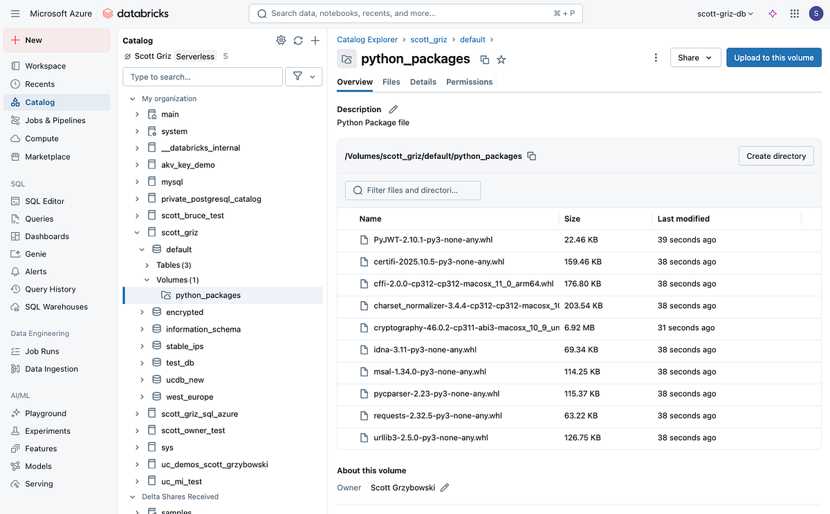 How do I limit internet access but allow developers to install Python packages on Databricks ...