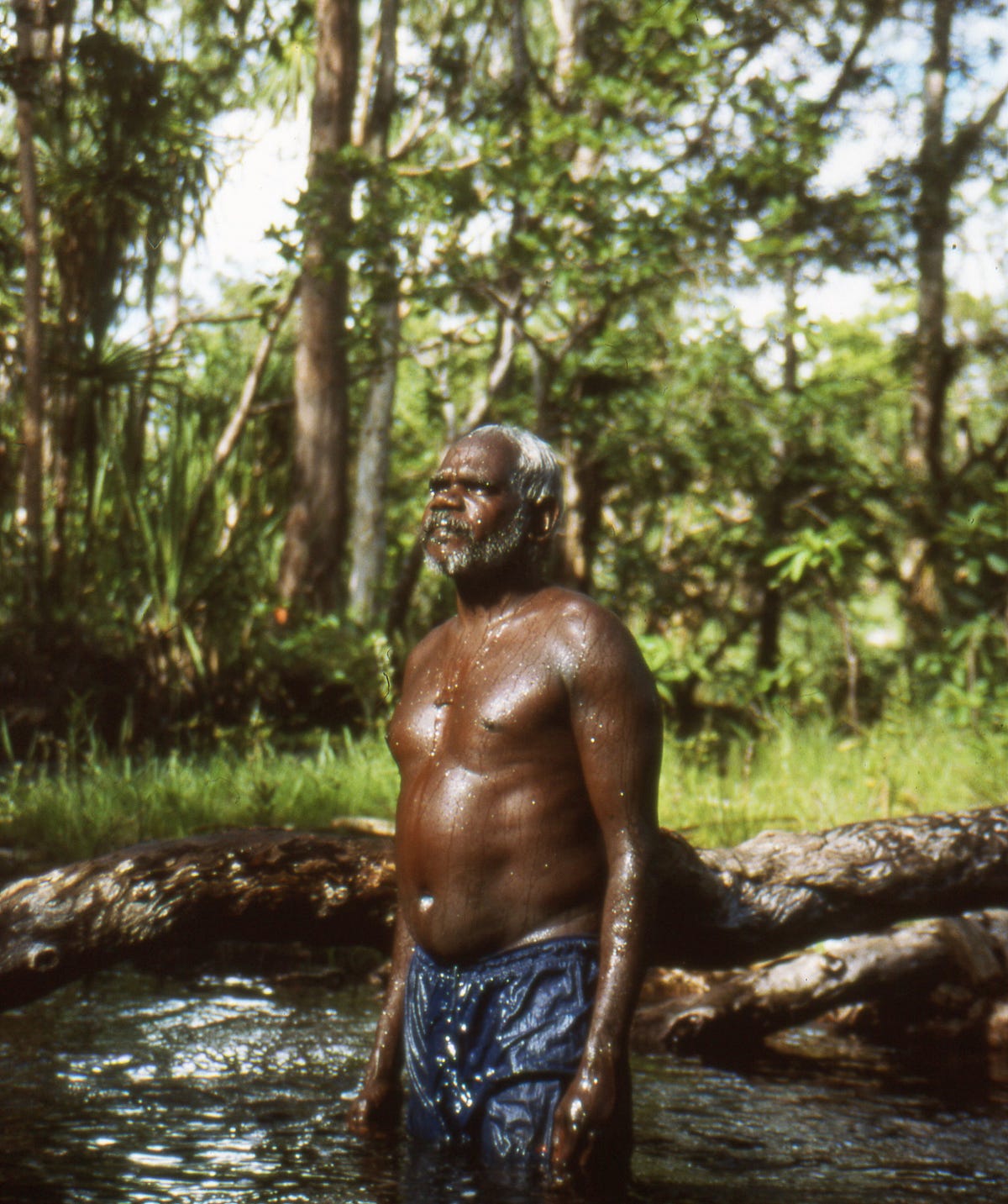 I Lived with Aborigines in the Remote Outback — This is What I Learned ...