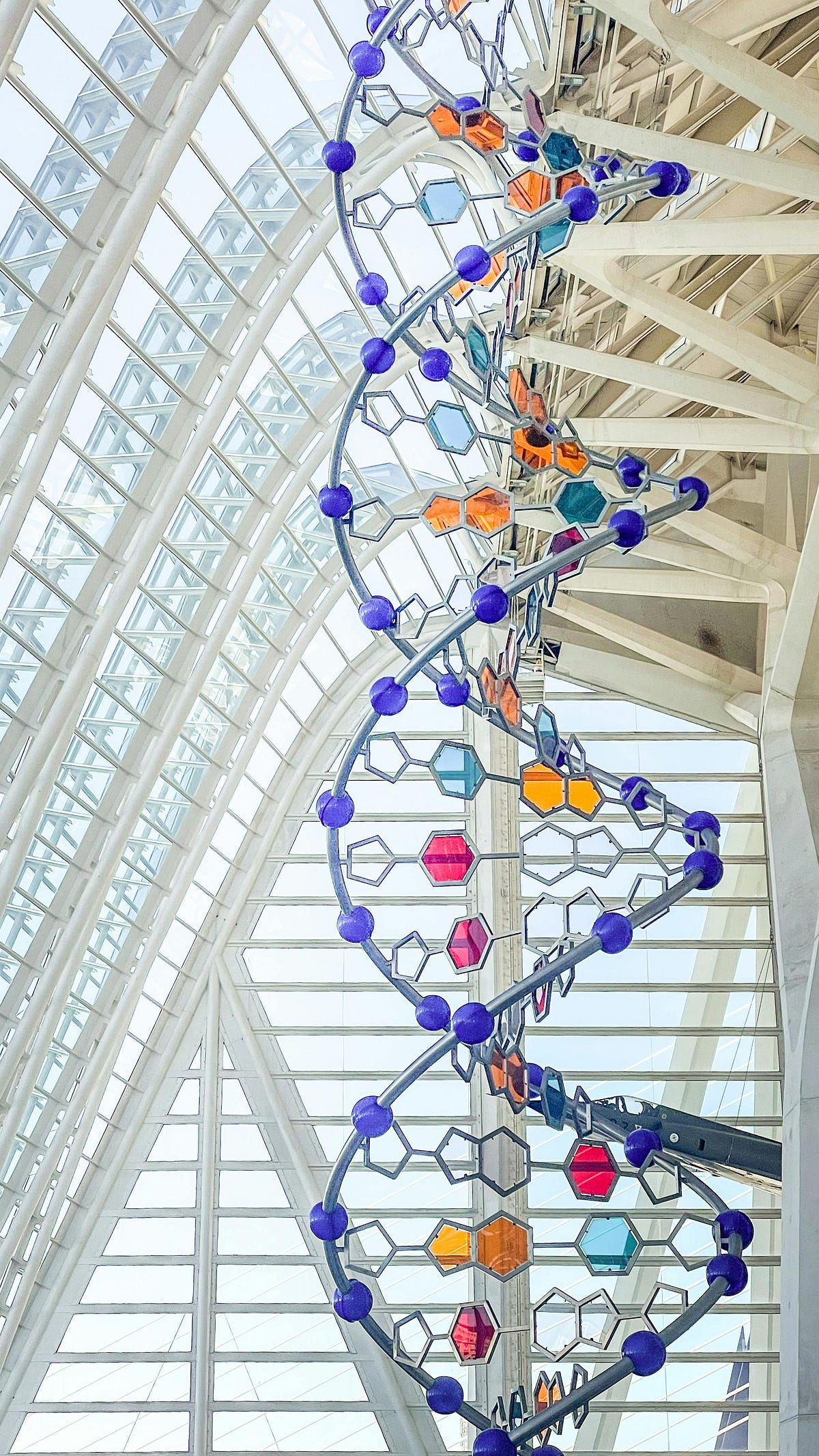 WORDS as GENES, and WORD EPIGENETICS vs DNA GENETICS | by Loran Joly ...